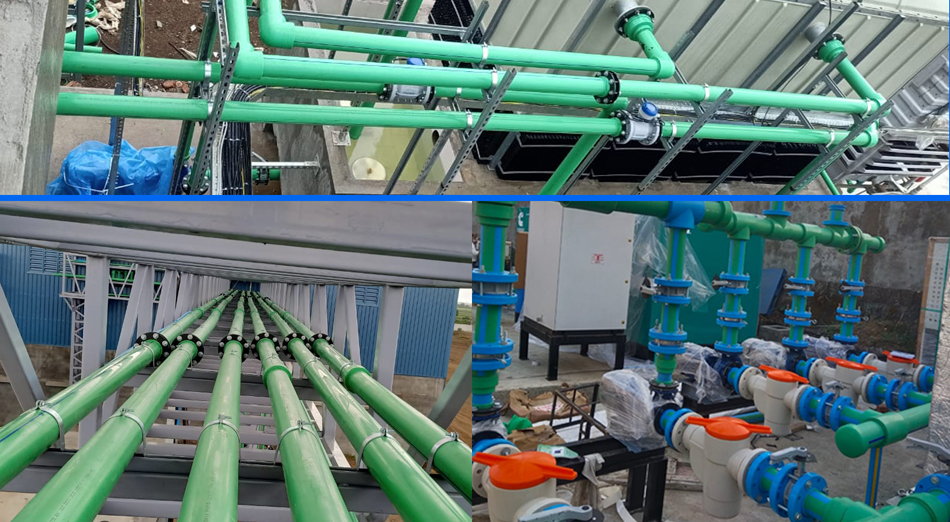 Home 2 - Euroaquappr